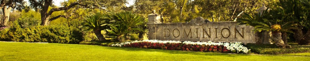 HOA Documents - The Dominion HOA